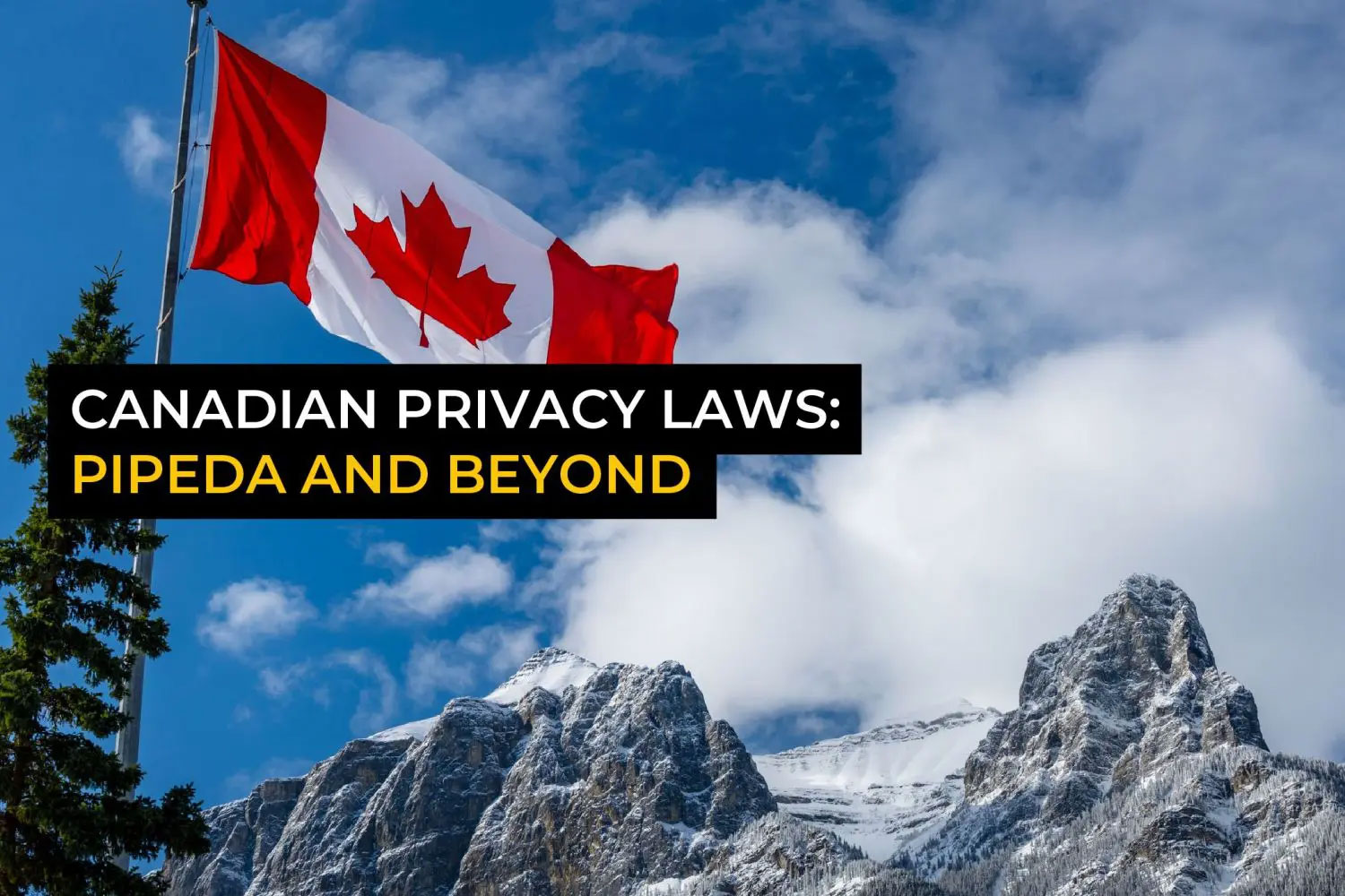 Canadian privacy laws: PIPEDA and beyond | DPO Centre
